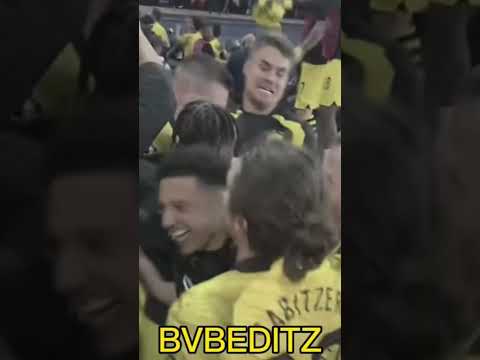The day we made it to the final#bvb #soccer