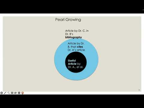 Responsible Literature Searching Overview 2025