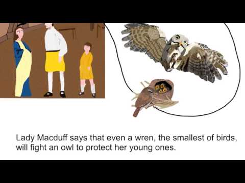 Macbeth Act 4, Scene 2 Summary