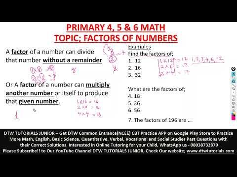 Finding the Factors of Numbers - Primary 4/5/6