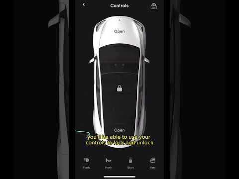 Inside The Tesla App!