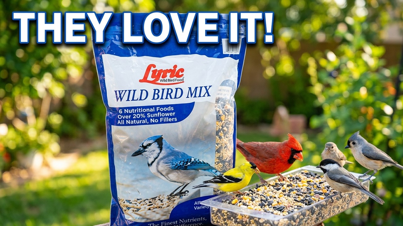 Why This Bird Seed Attracts More Birds Than Cheap Alternatives
