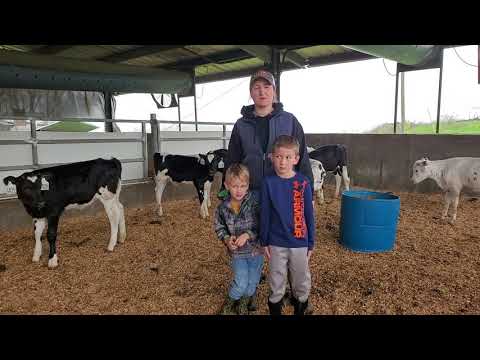 Davis Brothers Dairy, Loudon County