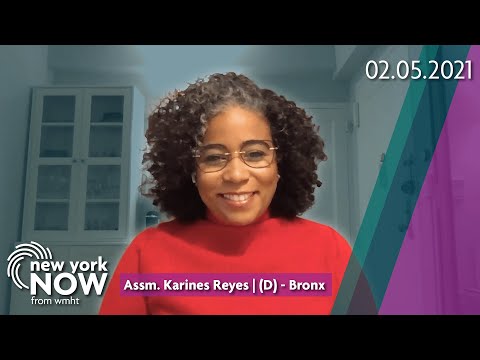Assemblymember Karines Reyes on the NY HERO Act | New York NOW
