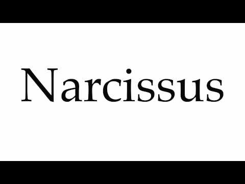 How to Pronounce Narcissus