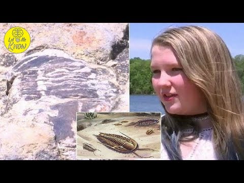 Girl Discovers 475 Million Year Old Fossil At Tennessee Lake