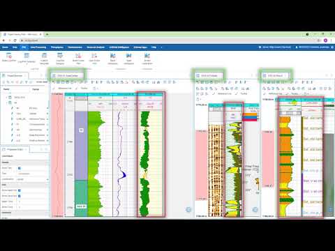 #12_5 Log-Plot - Template - Visualization Tool - Petrophysics Software| Well Insight | i2G Platform