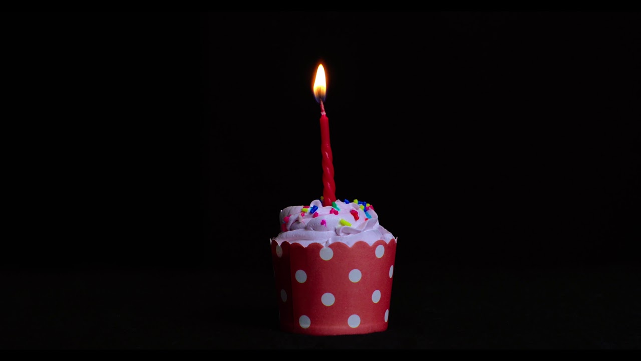 Cupcake with Lighting Candle | Free Video Download | Get Something Great | 4K