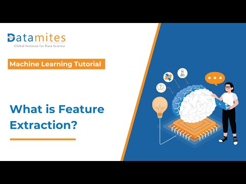 How Feature Extraction Works in Machine Learning | Explained with Examples