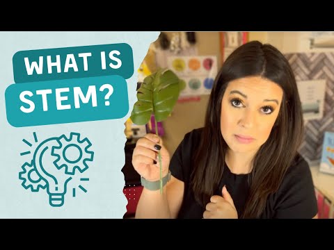 What is STEM?