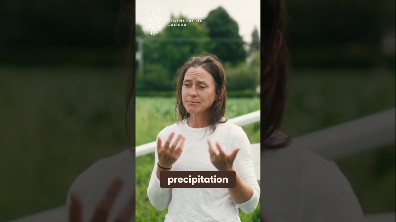 How does crop diversity enhance our soil and sustain us through shifting climates?