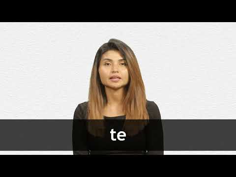 English Translation of “TE” | Collins Spanish-English Dictionary