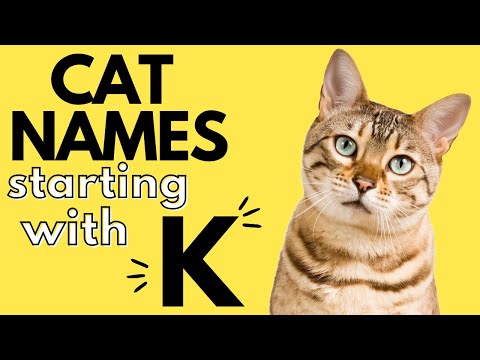 100+ Cat Names Starting With "K" | Boy and Girl Cat Names | I Cat Names