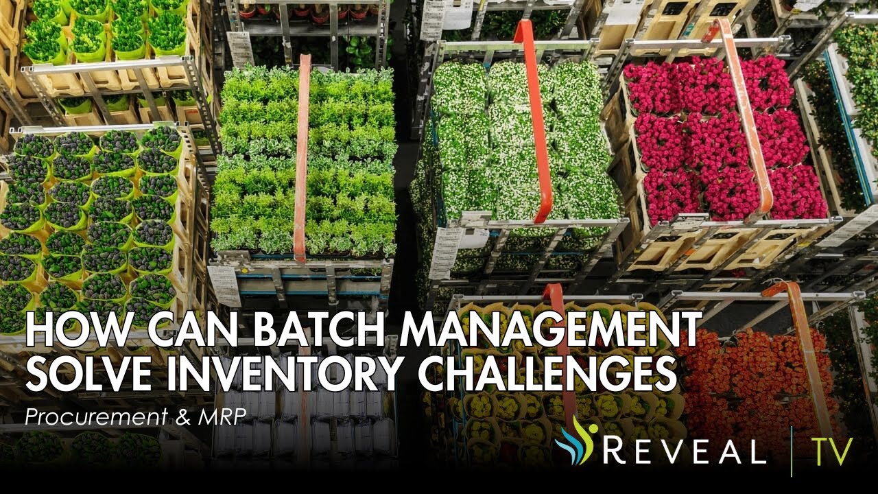 SAP Batch Management Explained: Optimize Inventory & Traceability