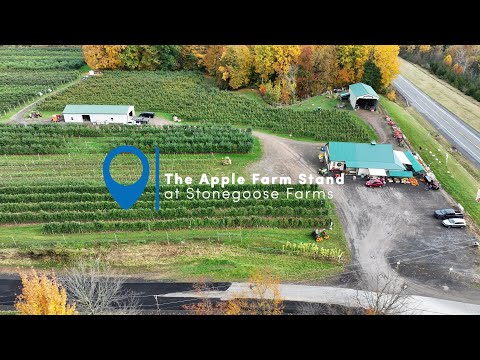 Stonegoose Farms - High Production Apple Orchard - $985,000