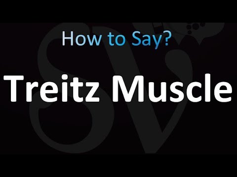 How to Pronounce Treitz Muscle (correctly!)