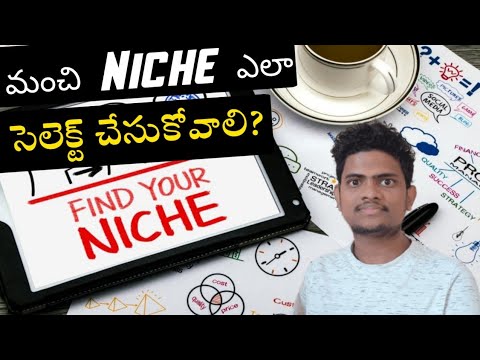 How to Select a Niche For Blogging in Telugu #niche #bloggingintelugu