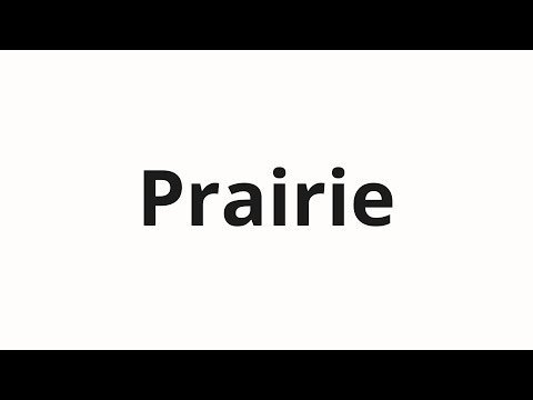 How to pronounce Prairie