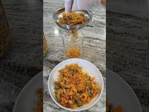How to Use Calendula Flowers | Benefits