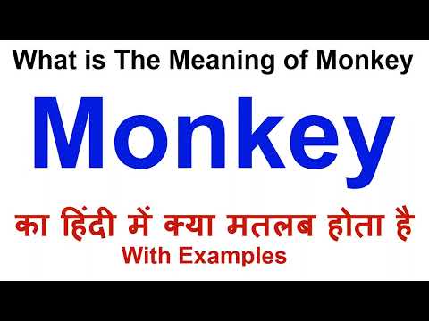 Monkey Meaning in Hindi | Monkey Definition | Monkey Ka Matlab Kya Hota Hai | Monkey in Hindi