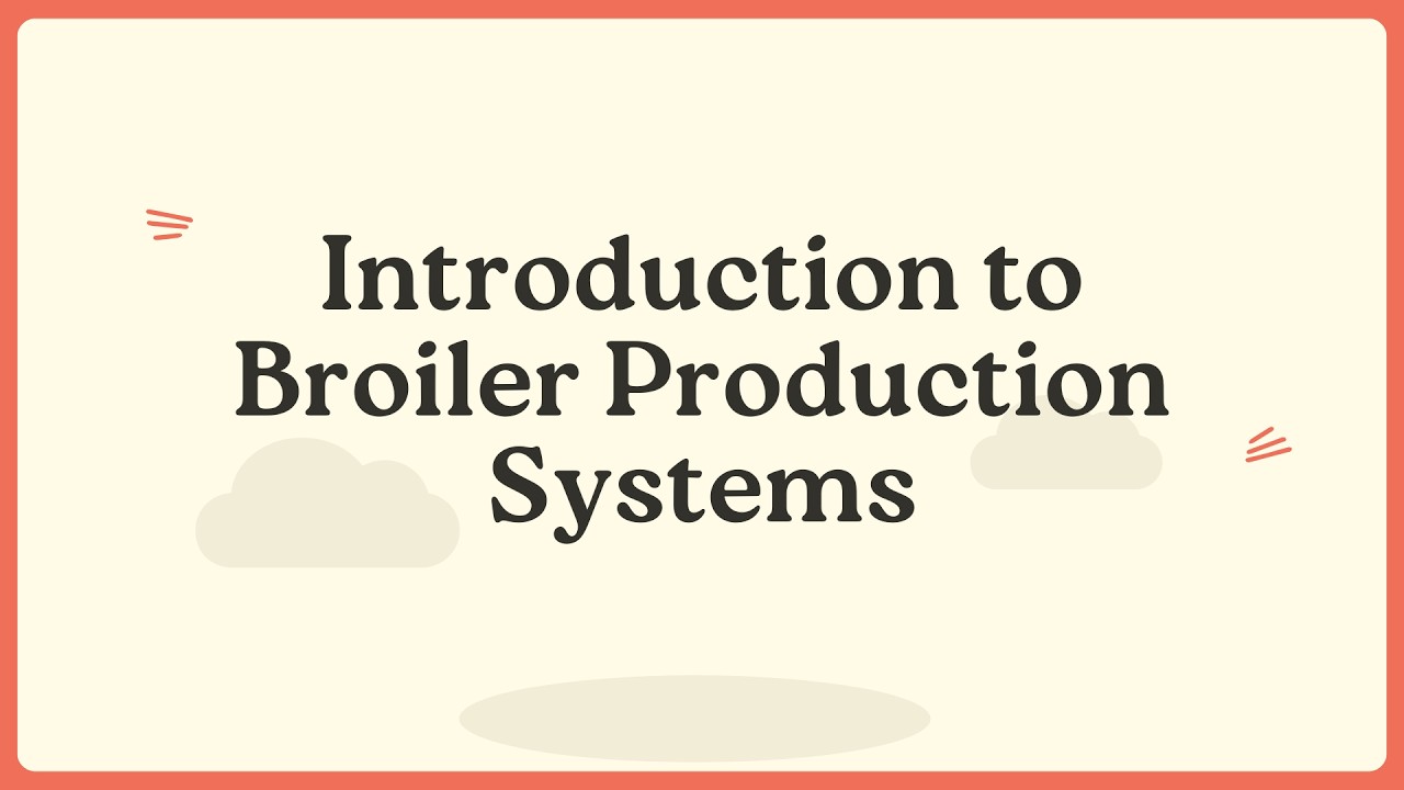 Introduction to Broiler Production Systems | Broiler Production and Management