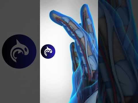 Index Finger Motion #anatomy