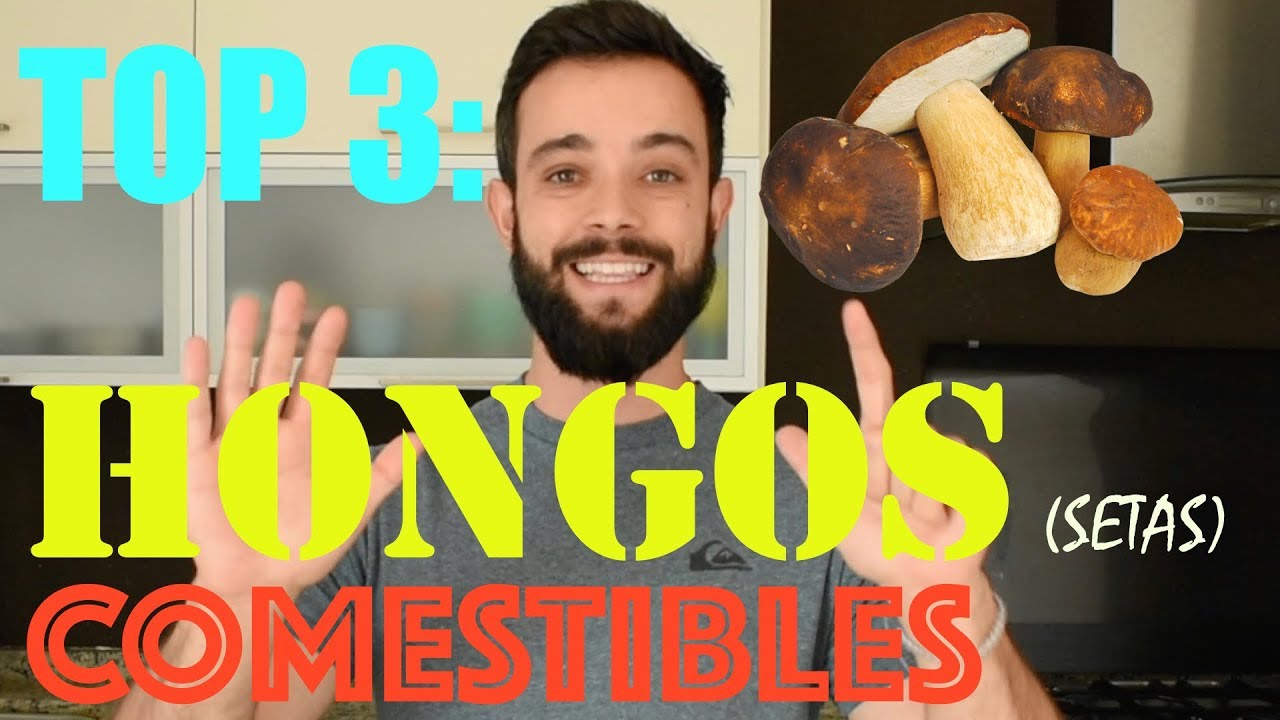 TOP 3 EDIBLE FUNGI (MUSHROOMS)