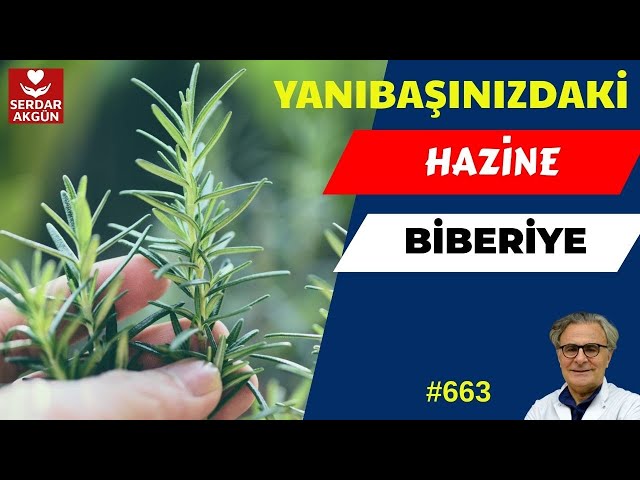 Biberiyenin Faydaları Nelerdir? - Nefis Yemek Tarifleri