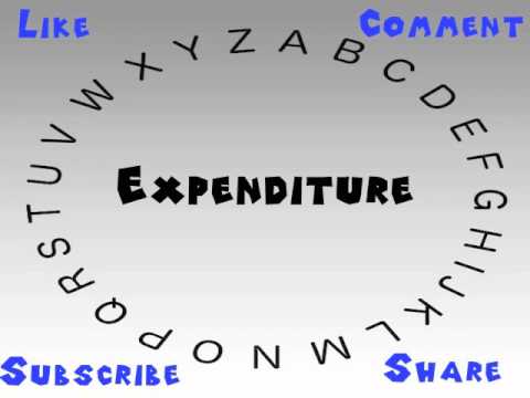 How to Say or Pronounce Expenditure