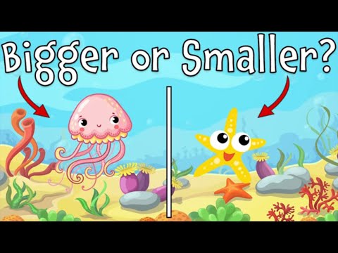 19th bigger or smaller game | Lainshaw Early Childhood Centre