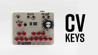 CV Keys | Hungry Robot