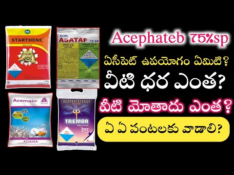 Acephate - Acetamidophos Latest Price, Manufacturers & Suppliers