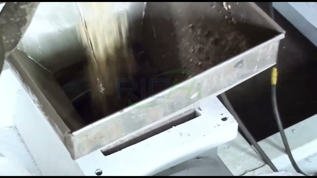 RICHI Floating Fish Feed Extruder Machine Live Video
