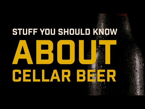 Stuff You Should Know About Cellaring Beer | Ft. Newair 100 Can Beverage Fridge