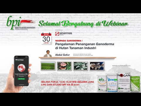 Waspada Ganoderma! Pengalaman Penanganan Ganoderma di Hutan Tanaman Industri - Dr. Abdul Gafur