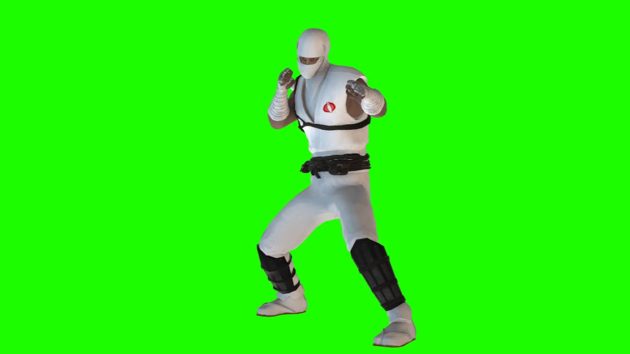 Storm Shadow idle animated front chroma