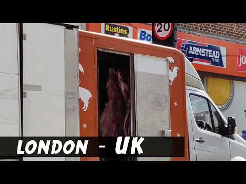 How Meat is Delivered To London Butchers Shops in UK