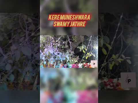 Kere Muneshwara Swamy II Thigalarapalya main road II Peenya 2nd stage II Bangalore
