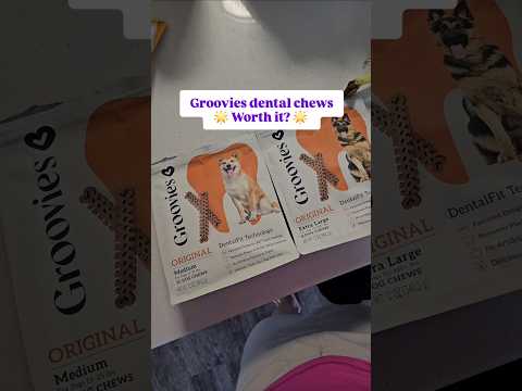 groovies dental chews reviewπ #foodgram #dogfood #yummy #eater #dogowner #gsd #corgi #dogs #nycvlog