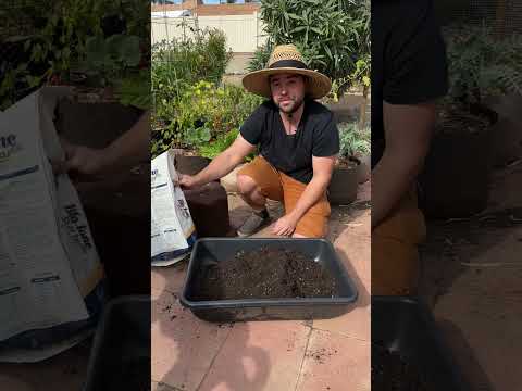 Don't Make This Container Mistake!