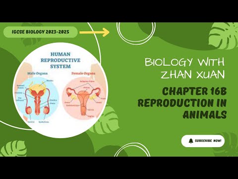 Sexual Reproduction Video Lecture - Biology for GCSE/IGCSE - Class 10