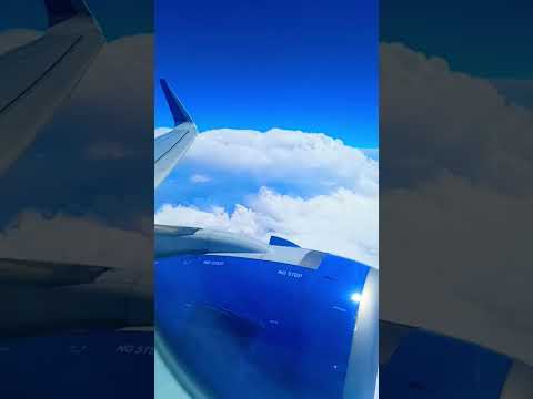 TravelTime#funnyshorts #airflight #baby #airport #funny #indigo #india #flight #statusvideo #status