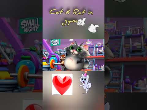 cat & Rat in gym