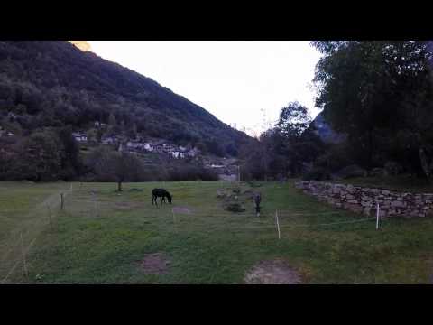 video n 2