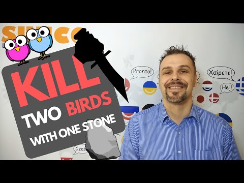 idioms 101 - kill two birds with one stone
