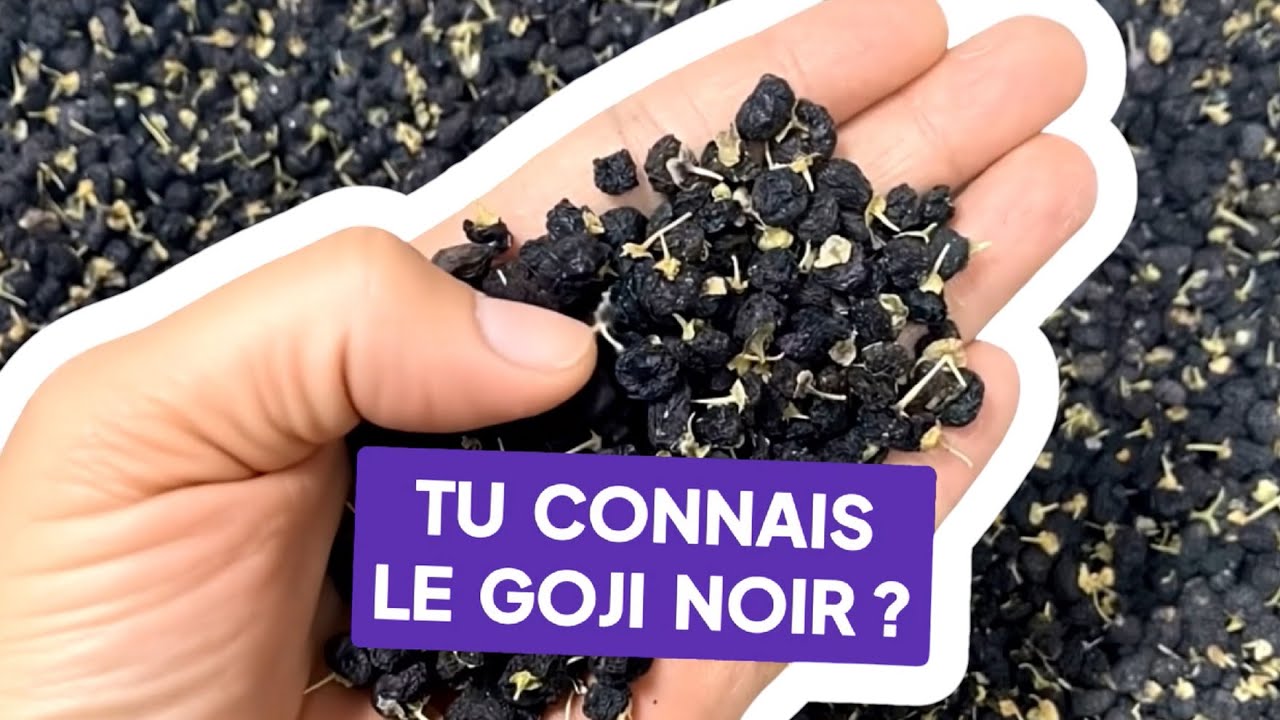 Tu connais le Goji Noir (Lycium ruthenicum) ? Fruits magiques !