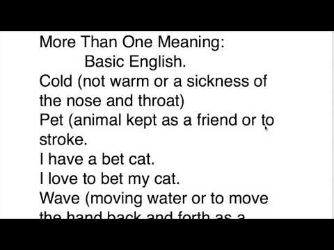 MORE THAN ONE MEANING BASIC ENGLISH