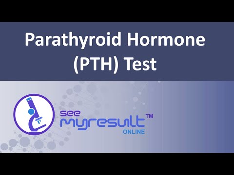 Parathyroid Hormone (PTH) Test