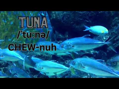 How to pronounce Tuna? - Fish in British English