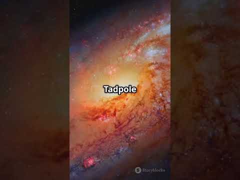 strangest galaxies in the universe #cosmicexploration #darkenergy #reels